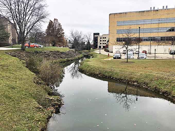 This peaceful stream meanders through town like nature's own meditation guide, offering a quiet escape just steps from urban conveniences and campus energy.