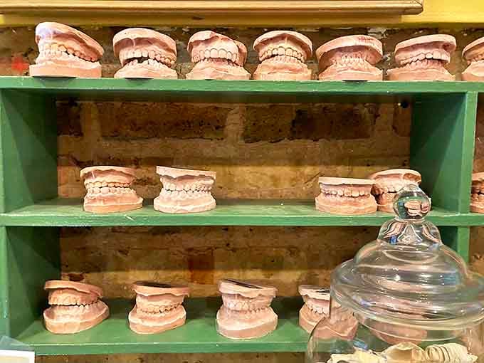 The dental mold collection grins eternally, reminding visitors that today's medical equipment is tomorrow's bizarre decorative conversation piece.