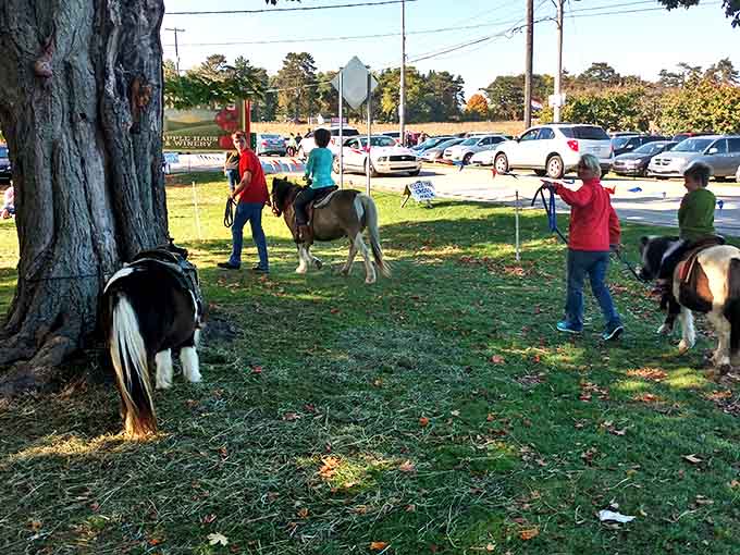 Gentle ponies offer rides for the youngest visitors, creating magical moments of connection between children and animals.