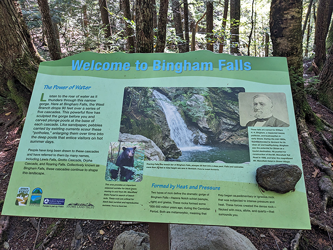 Educational signage helps visitors understand the recreational opportunities while respecting this protected natural area.