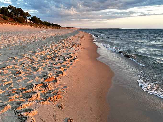 Silent witnesses to beach adventures, these footprints will vanish with tomorrow's tide, making room for new memories to be written.