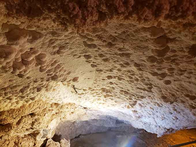 Cave scallops on the ceiling look like frozen waves, carved by water that left this party millions of years ago.
