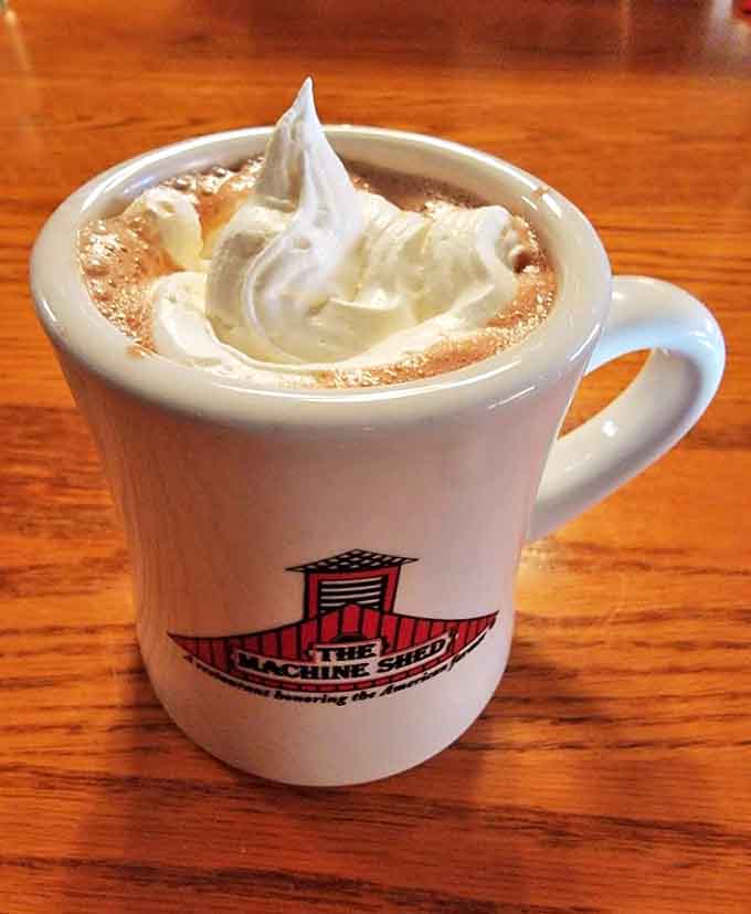 A steaming mug of hot chocolate topped with a cloud of whipped cream offers liquid comfort on a chilly Midwestern day.