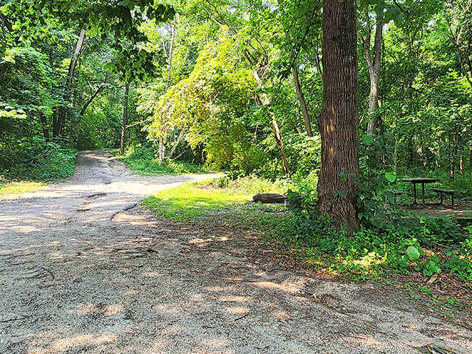 Summer's embrace turns the trails into cool, shaded retreats. The perfect escape when Minnesota decides to remind us what humidity feels like.