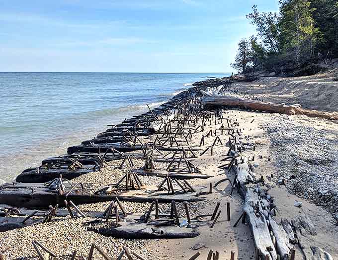 The haunting wooden ribs of the Joseph S. Fay shipwreck emerge from the shoreline like dinosaur bones, a sobering reminder of Lake Huron's power and the lighthouse's vital purpose.