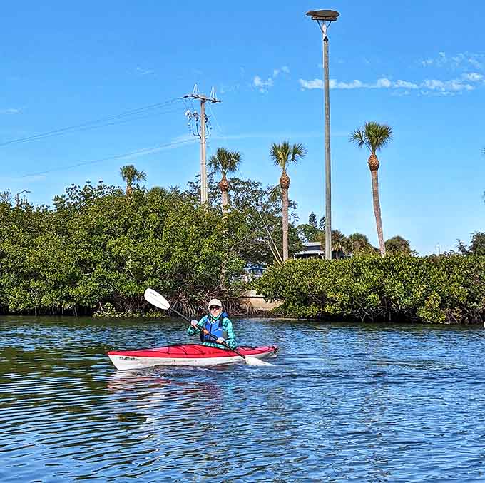 Kayaking through these waters feels like gliding through nature's secret passages, where mangrove tunnels create cathedral-like experiences for paddlers.