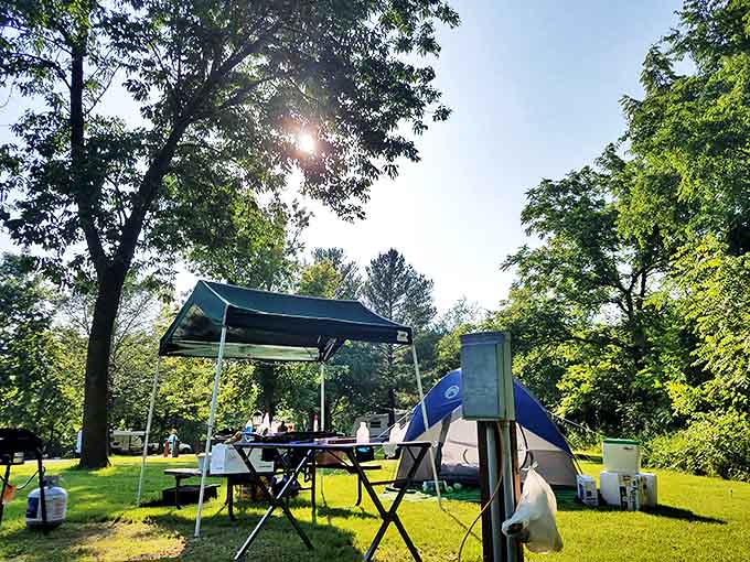 Camping here means waking up to views that beat any hotel room, assuming you don't mind sleeping on the ground.