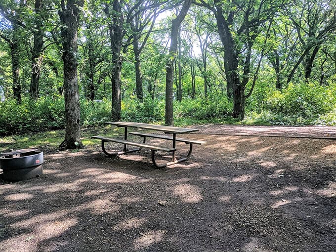 Picnic tables under the trees provide front-row seats to nature's show, where the entertainment is free and the views are priceless.