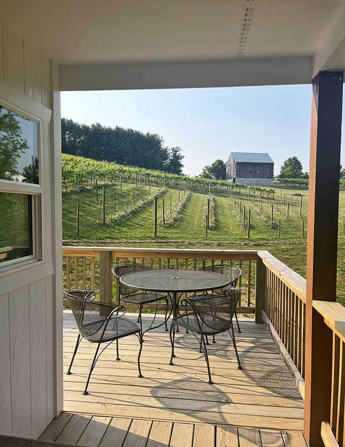 A simple patio set becomes a throne when positioned with this view &ndash; proving sometimes the best luxury is simply space and beauty.