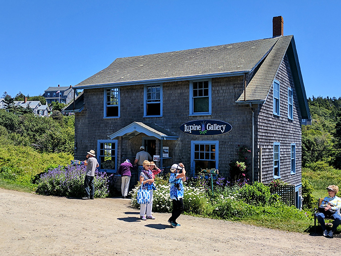 Art and nature converge at this charming island gallery, where local artists capture Monhegan's wild beauty through skilled hands and observant eyes.