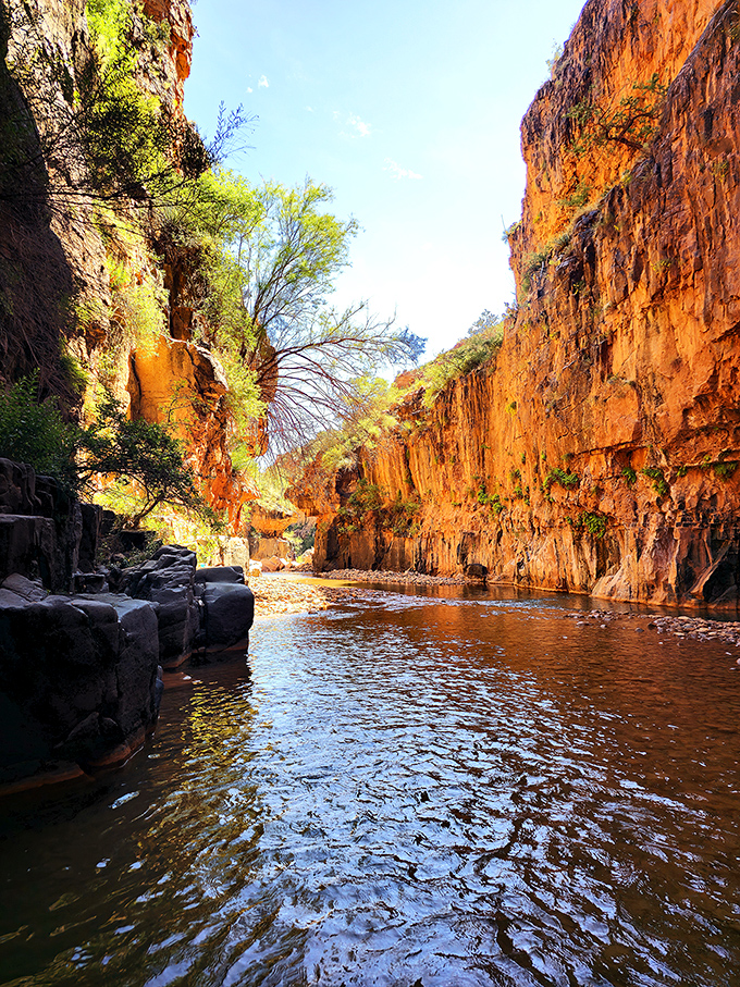 Rust-colored canyon walls reflect in the gentle current of Cibecue Creek, creating a mirror image that doubles the visual impact.