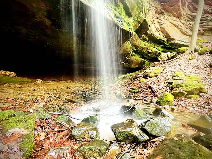 Hidden waterfall magic! Nature's own spa treatment where the only soundtrack is rushing water and rustling leaves.