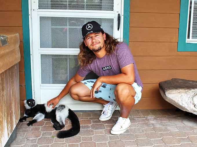 Lemurs bring their unique charm and curiosity to every interaction, their soft fur and gentle nature making them irresistible companions.