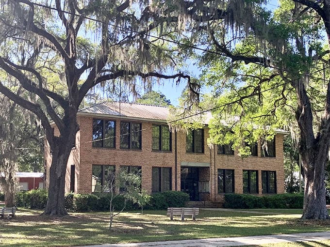 The Library District building stands dignified among ancient oaks, a brick sentinel guarding knowledge in the heart of historic Micanopy.