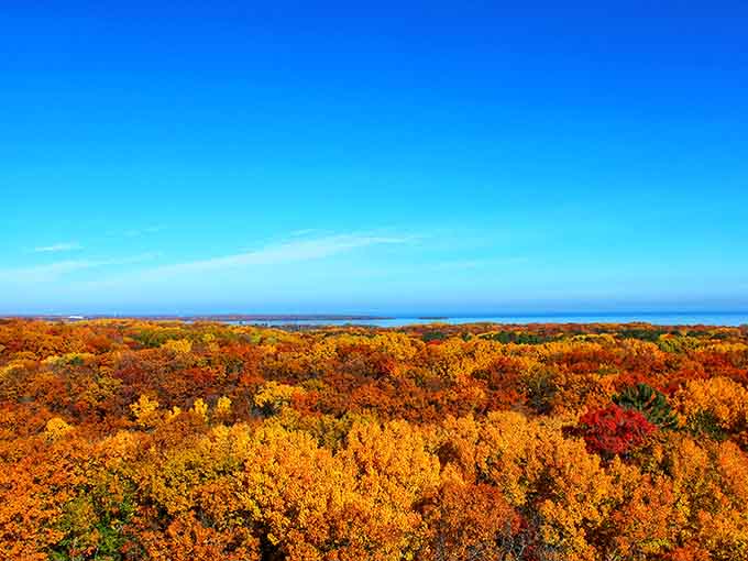 From up here, autumn looks like someone spilled a giant box of crayons across the entire landscape.