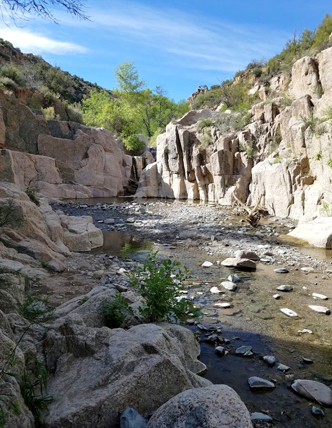 Canyon walls stand sentinel over the narrow passage, telling geological stories millions of years in the making to anyone who'll listen.