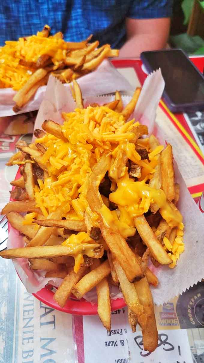 Crispy on the outside, fluffy within, and blanketed in melted cheddar that cascades into every nook and cranny &ndash; these cheese fries have developed their own fan club.