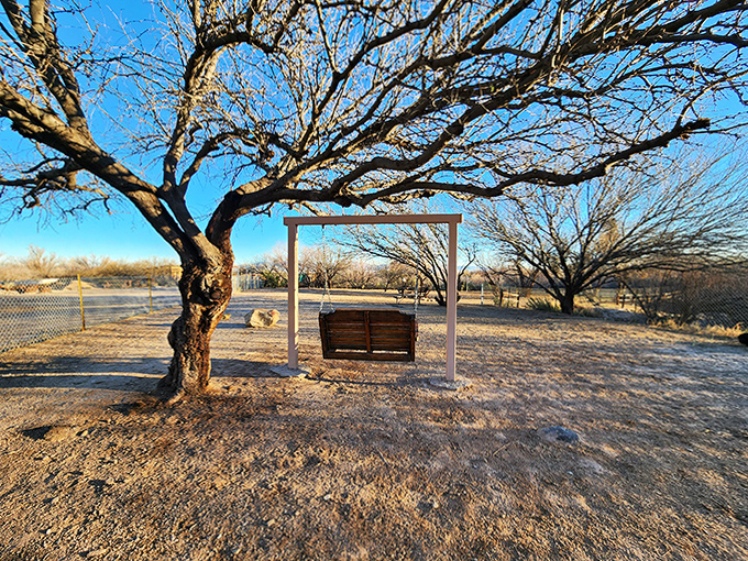 This simple wooden swing might be the world's perfect thinking spot – suspended between earth and sky, problems and solutions.