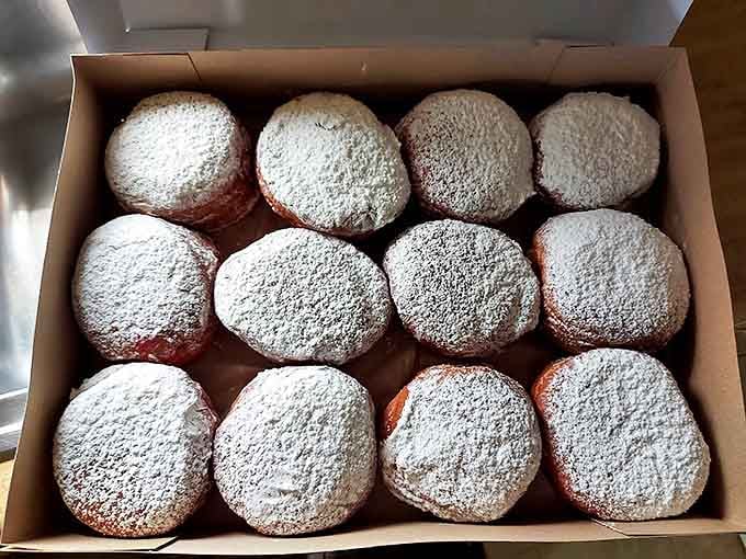 Powdered paczki paradise &ndash; Polish-inspired pillows of dough that cause normally reasonable adults to line up in February snowstorms.