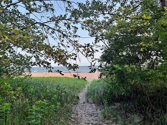 Nature's invitation: This sandy path parts the coastal vegetation like a secret passage to Lake Erie's shimmering rewards.