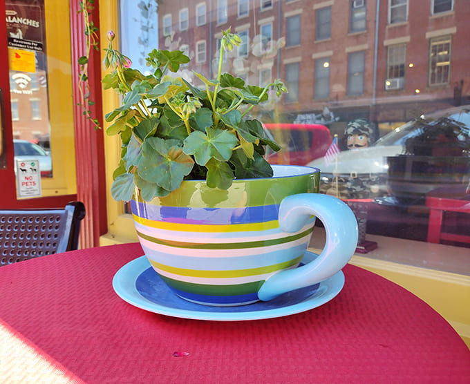 Even the planters at Red's have personality, with this oversized striped teacup ready to hold your nasturtiums or your sense of whimsy.