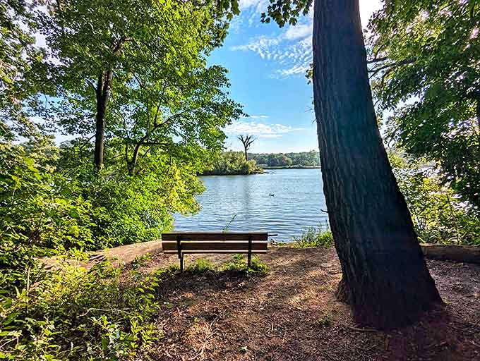 A solitary bench offers front-row seats to nature's greatest show &ndash; the tranquil waters of Rock River framed by towering trees.