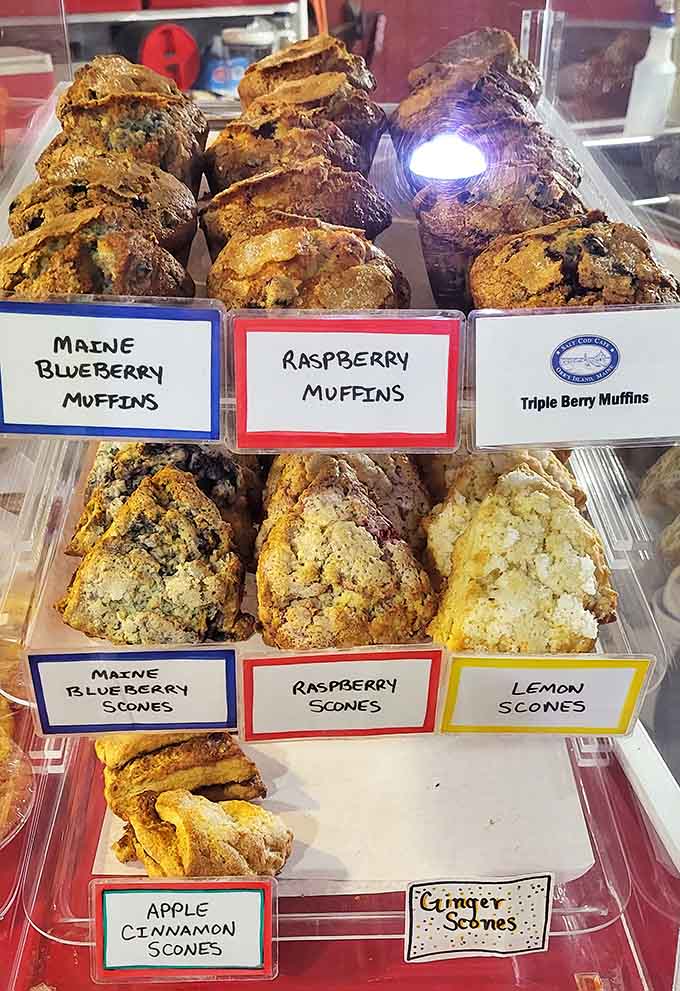 The bakery case lineup looks like the starting roster for Team Delicious, and every player is an all-star.