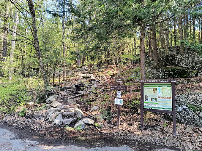 The Moosalamoo trailhead invites hikers into quiet forest paths where Vermont adventure begins with every rocky step.