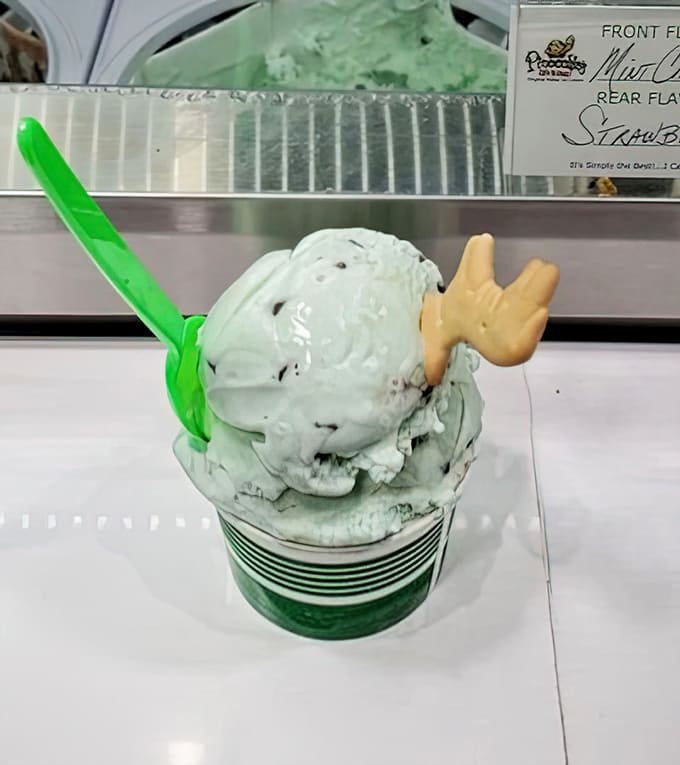 Mint chocolate chip ice cream with a cookie garnish &ndash; the refreshing classic that's like brushing your teeth, but infinitely more delicious.