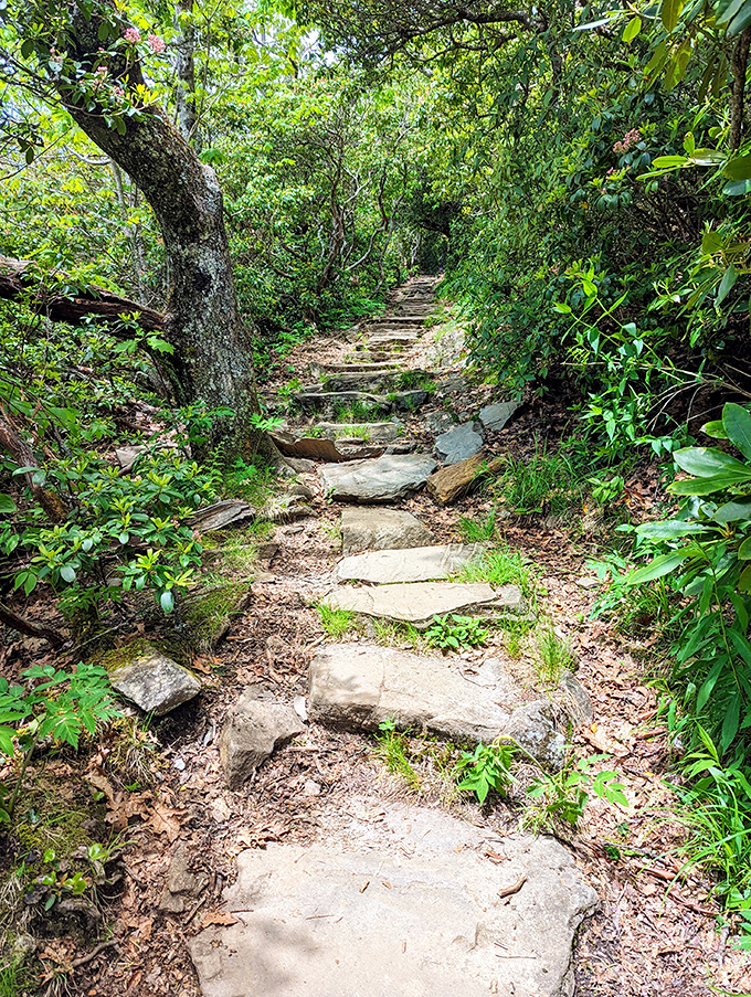 Nature's artistry revealed in this stone pathway, where centuries of footsteps have polished each rock into a perfect stepping stone.