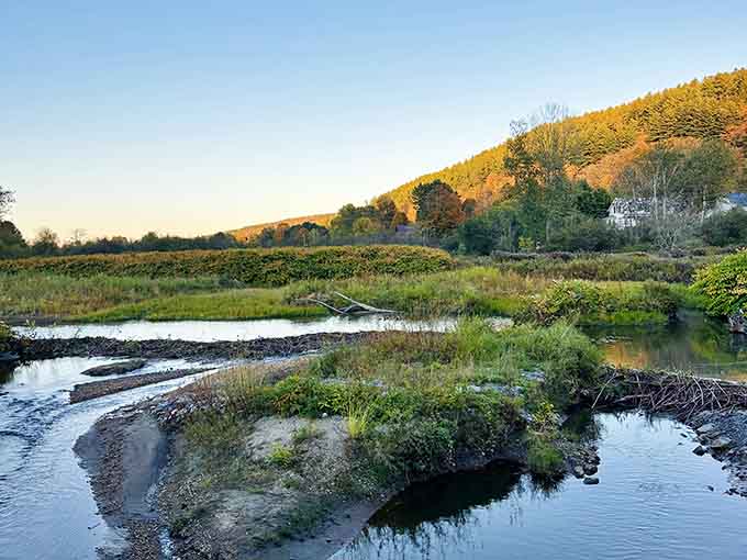Parks in Vermont don't mess around when it comes to fall colors, they go all in like it's their job.