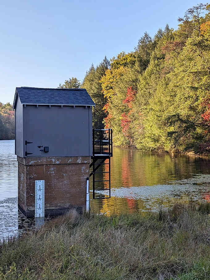The charming gauge house stands like a steadfast guardian of the lake. Part functional structure, part accidental folk art.