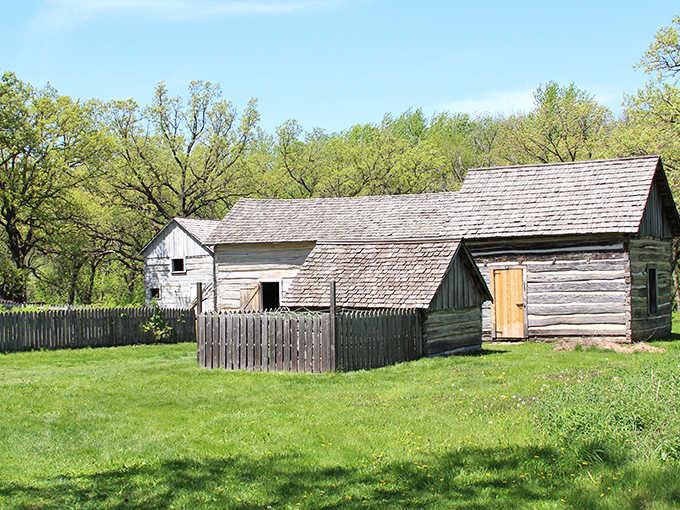 Weathered log cabins whisper stories of first winters on the frontier, when survival depended on sturdy walls and well-stocked larders.