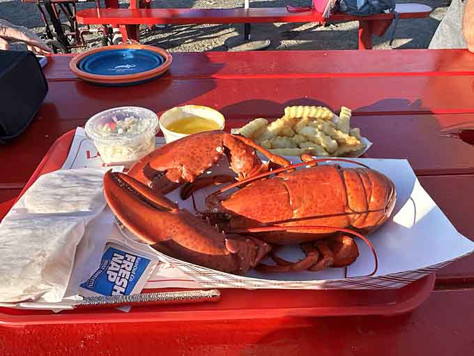 A whole lobster dinner with all the fixings is the kind of meal that makes you understand why people love Maine.