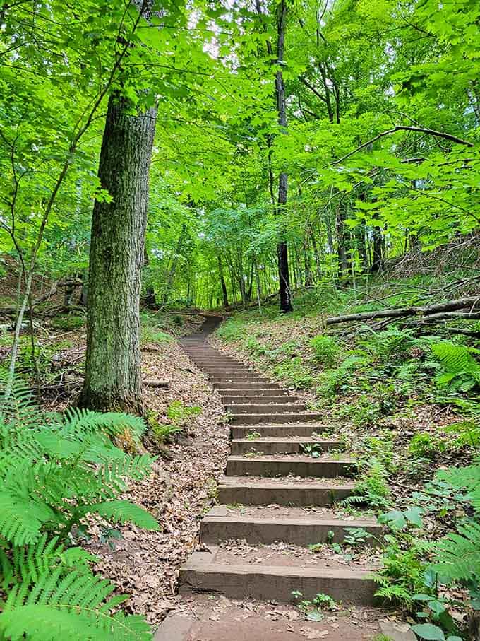 These stairs lead somewhere worth going, trust us on this one, your legs will thank you later.