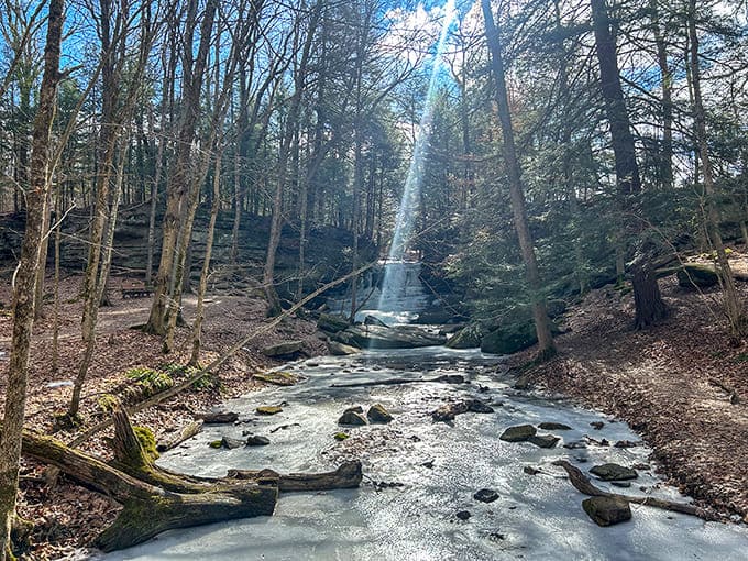 Winter transforms the falls into a crystalline sculpture garden, where water and ice perform a slow-motion ballet for those brave enough to visit.