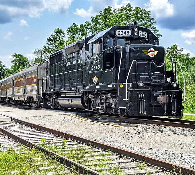 Power and nostalgia combine in this classic black diesel locomotive. Its rumbling engine speaks a language that resonates with both children and inner children.