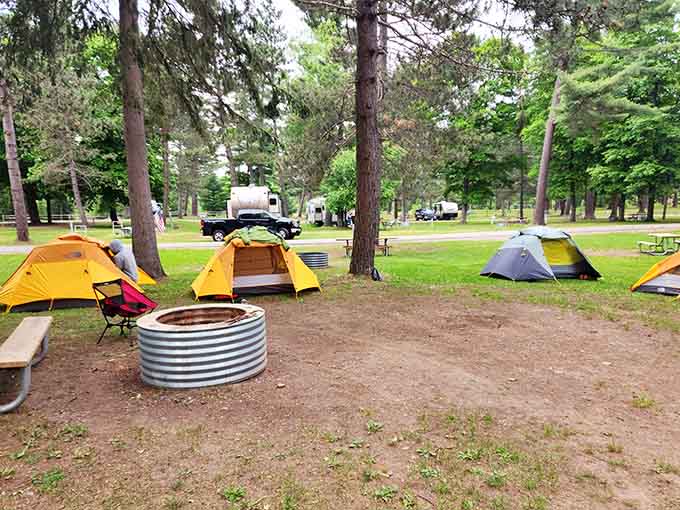 Nature's cathedral &ndash; towering pines create a pathway that practically begs for contemplative walks and whispered conversations.
