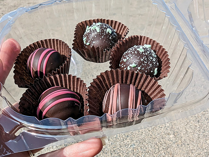 Handcrafted blueberry chocolates line the display case, offering bite-sized bursts of Maine's favorite flavor wrapped in rich cocoa.
