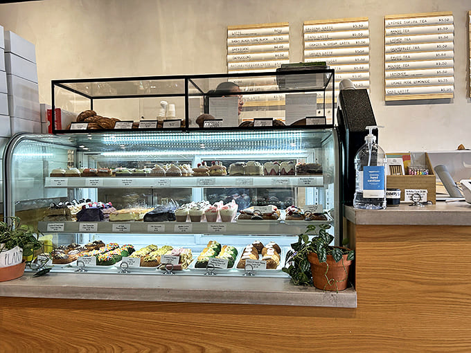 Behind this glass lies temptation in multiple forms &ndash; each treat more enticing than the last.