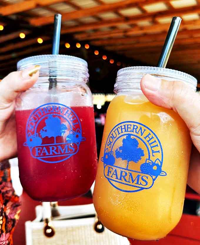 Mason jar magic &ndash; vibrant blueberry lemonade and refreshing apple cider, served in Instagram-worthy containers that keep Florida heat at bay.