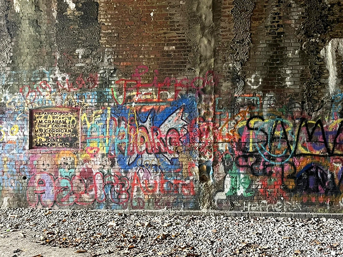 Vibrant graffiti transforms the tunnel's interior into an ever-changing art gallery, where urban expression meets rural isolation.