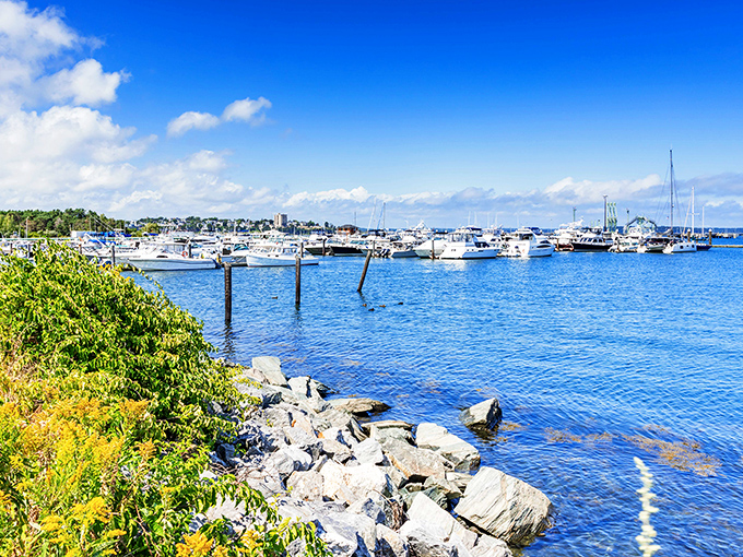 South Portland's bustling harbor creates a perfect backdrop, with boats bobbing like toys in a maritime playground.