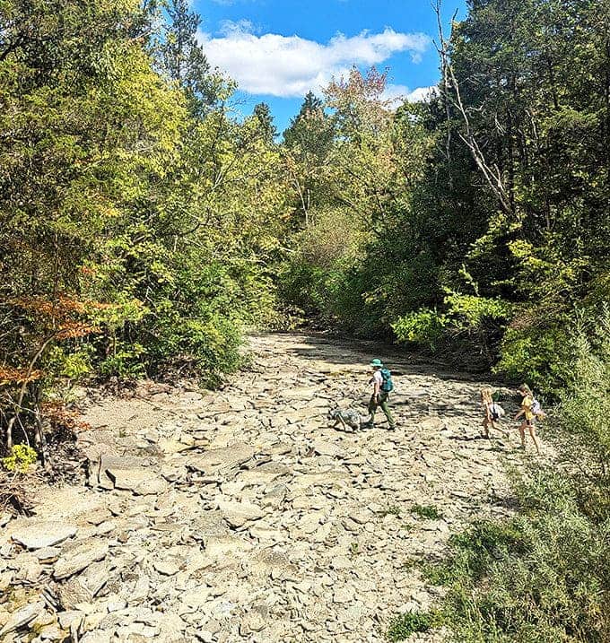 Intrepid hikers navigate the ancient limestone riverbed, looking like they're on an expedition to discover dinosaur bones or hidden treasure.