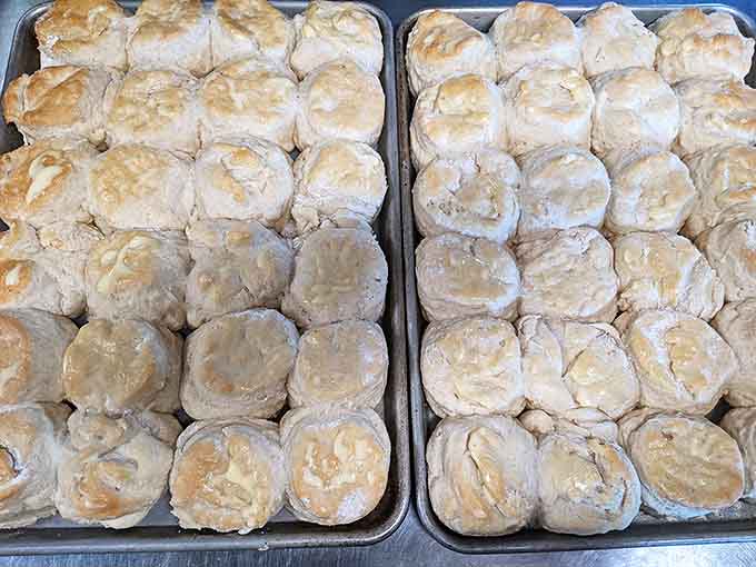 Golden brown buttermilk biscuits so fluffy and tender they practically dissolve on your tongue, perfect for sopping up peppery sausage gravy.