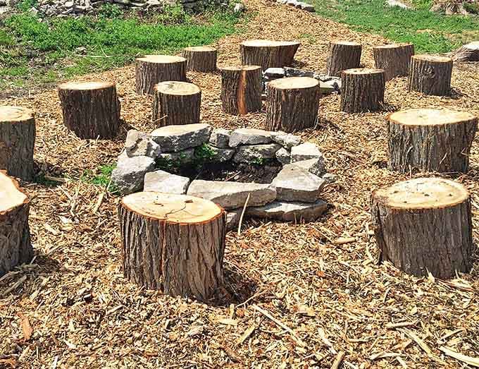 This homemade fire pit surrounded by tree stump seating transforms into Elberta's community gathering spot, where s'mores and stories flow freely.