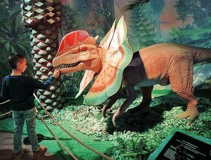 A young explorer comes face-to-face with a Dilophosaurus, experiencing the thrill of prehistoric encounters in complete safety.