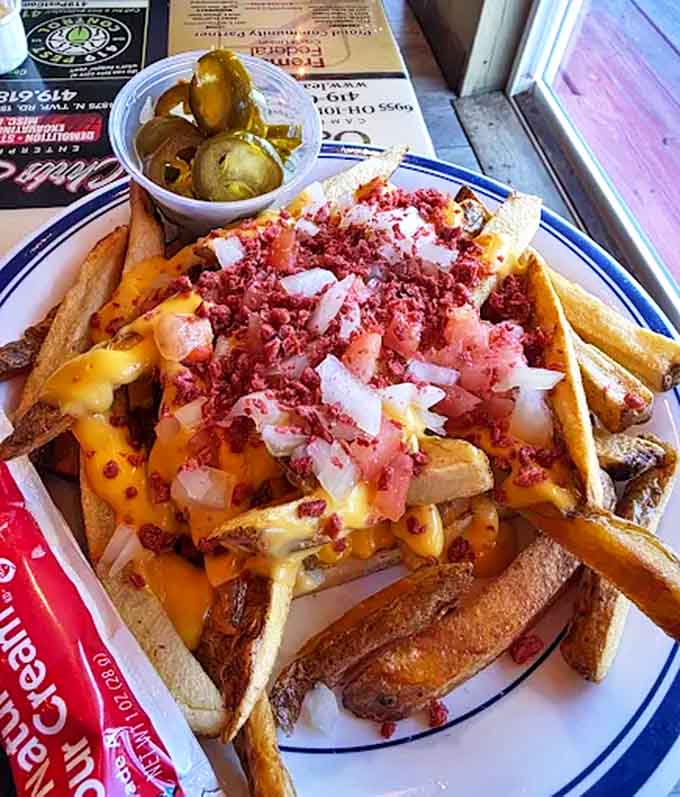 Loaded cheese fries that laugh in the face of diet plans &ndash; a mountain of crispy potatoes, melty cheese, bacon, and onions worth every calorie.