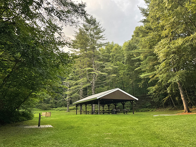 Picnic pavilions standing ready for family gatherings, awkward first dates, and everything in between that involves eating outdoors.