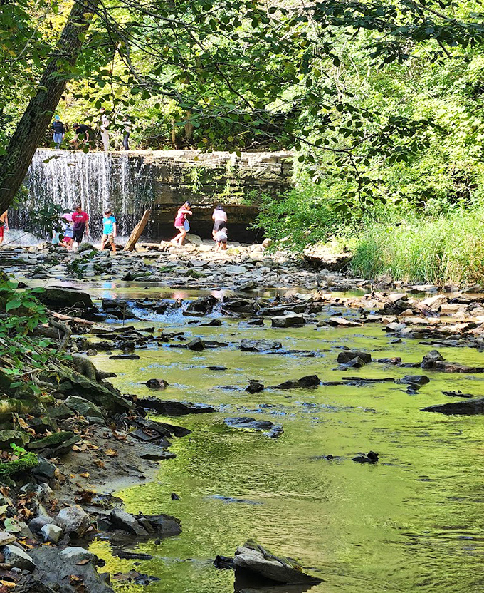Where geology meets playground! Visitors explore the base of Hidden Falls, nature's own interactive water feature.